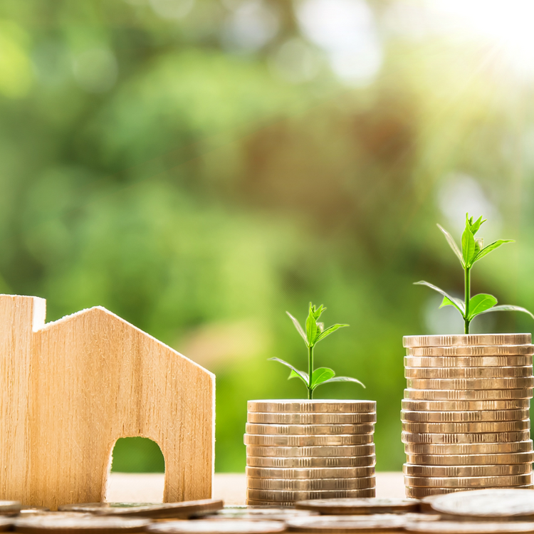 Mr D Math Course Catalog