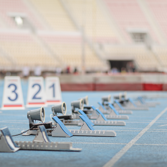 Mr D Math Course Catalog